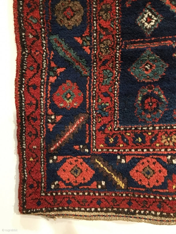 6'3" X 4'2" Kolyai Shirshekeri Kurd Rug [RR-0185] - The Antique Knot
